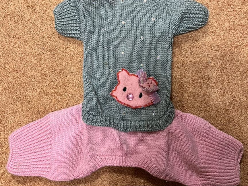 Одежда на той терьера