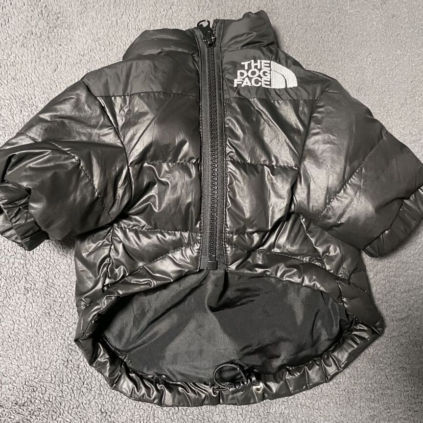 Одежда для собак мелких пород пакетом