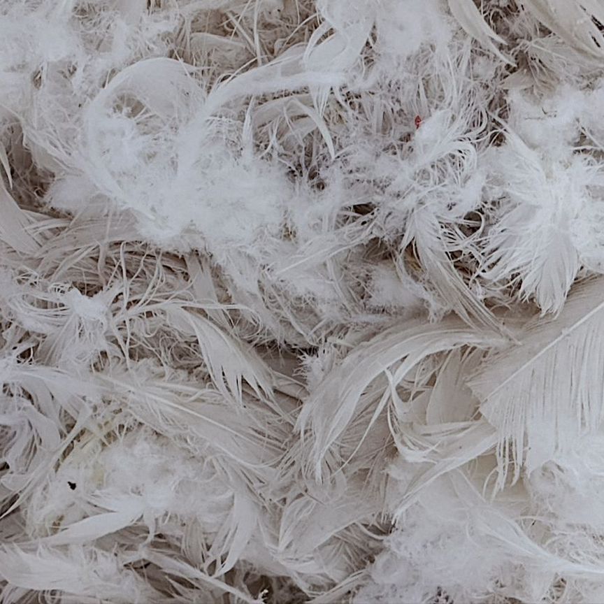 Продам пух перо гусиное