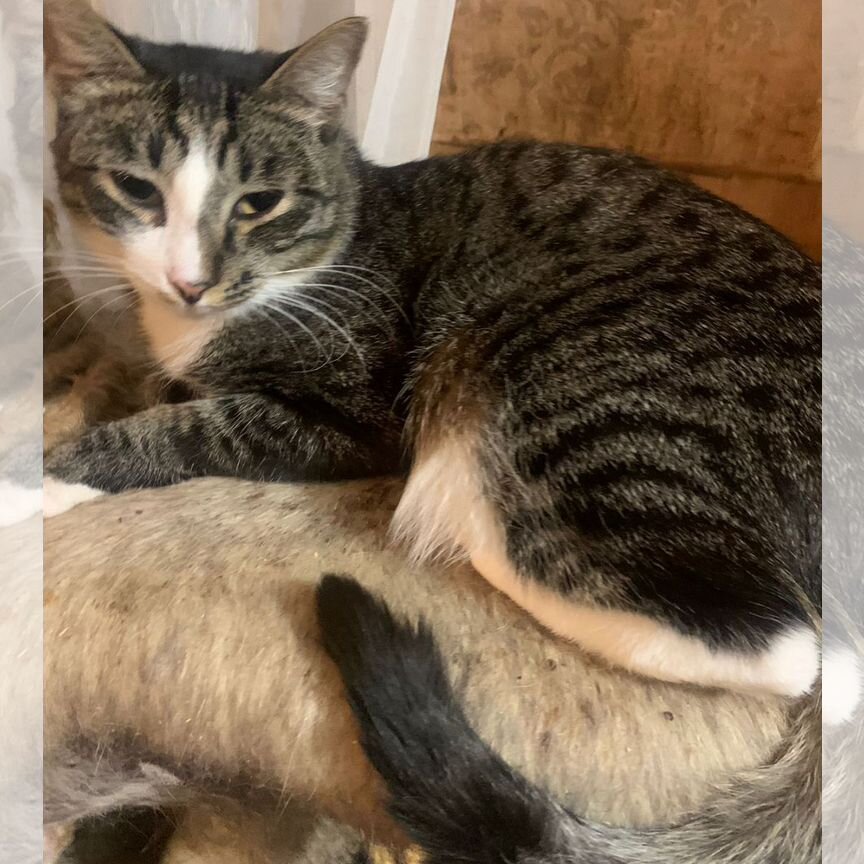 Митенька очень ждёт своих родителей