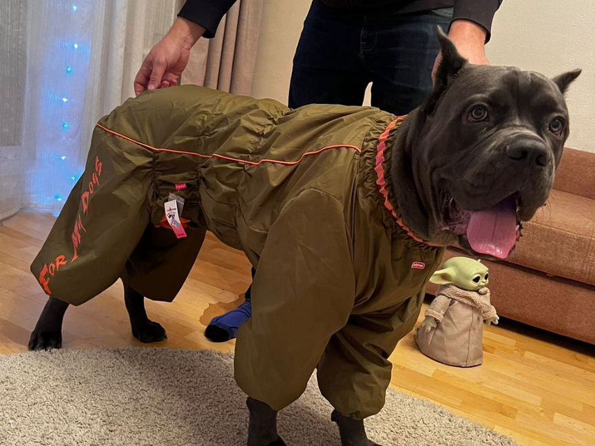 Комбезы. Одежда для собак. Зимняя одежда