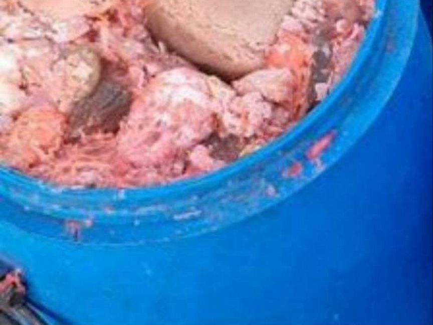 Пищевые отходы для животных