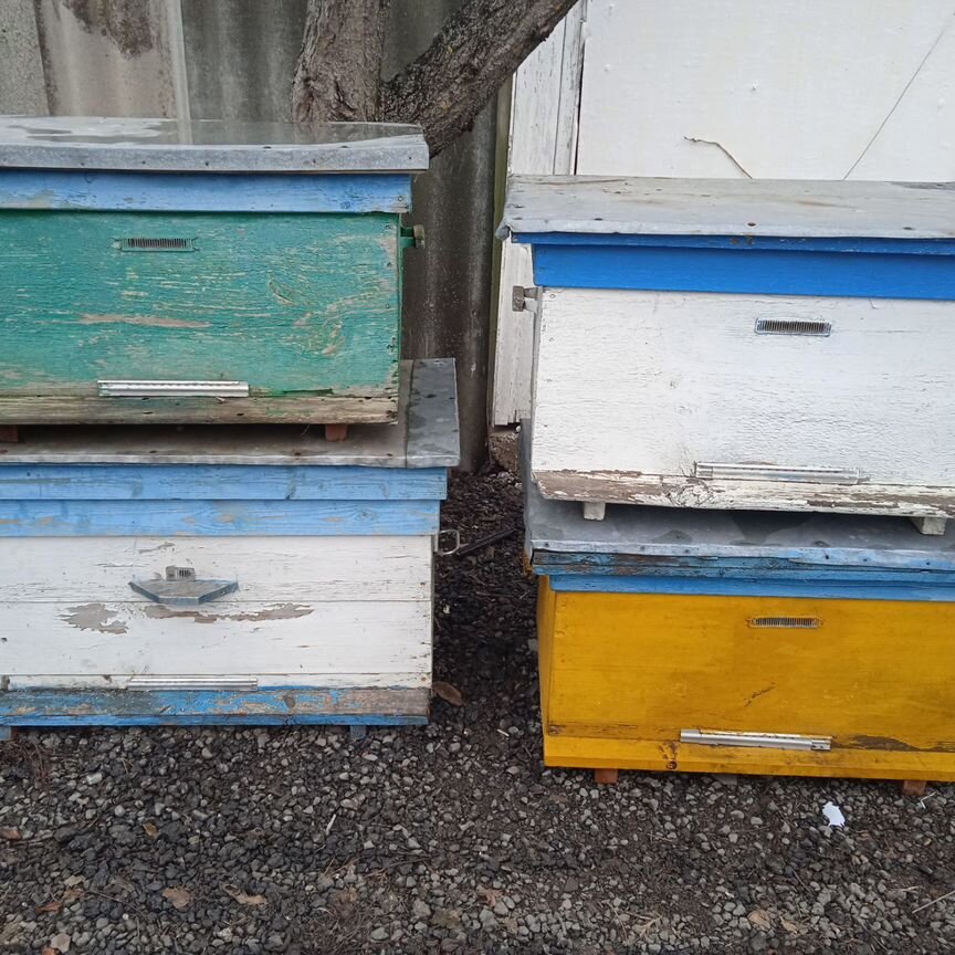 Улики для пчел