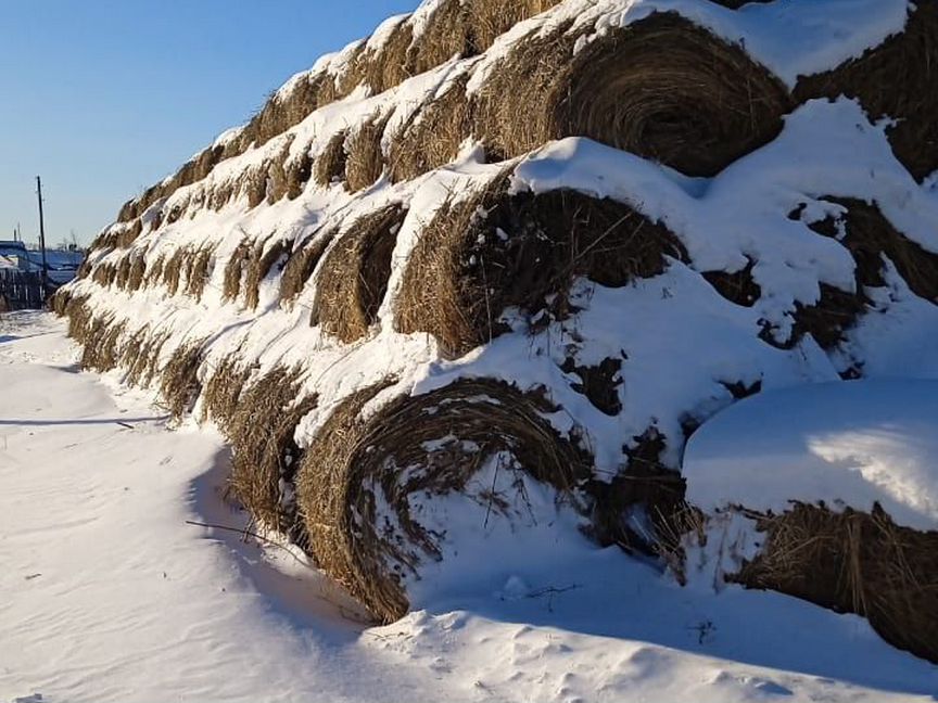 Сено в рулонах разнотравье