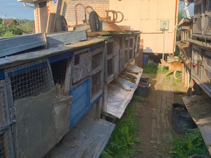 Клетки для кроликов бу