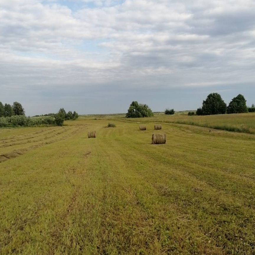 Сено луговое в тюках, сено в мешка