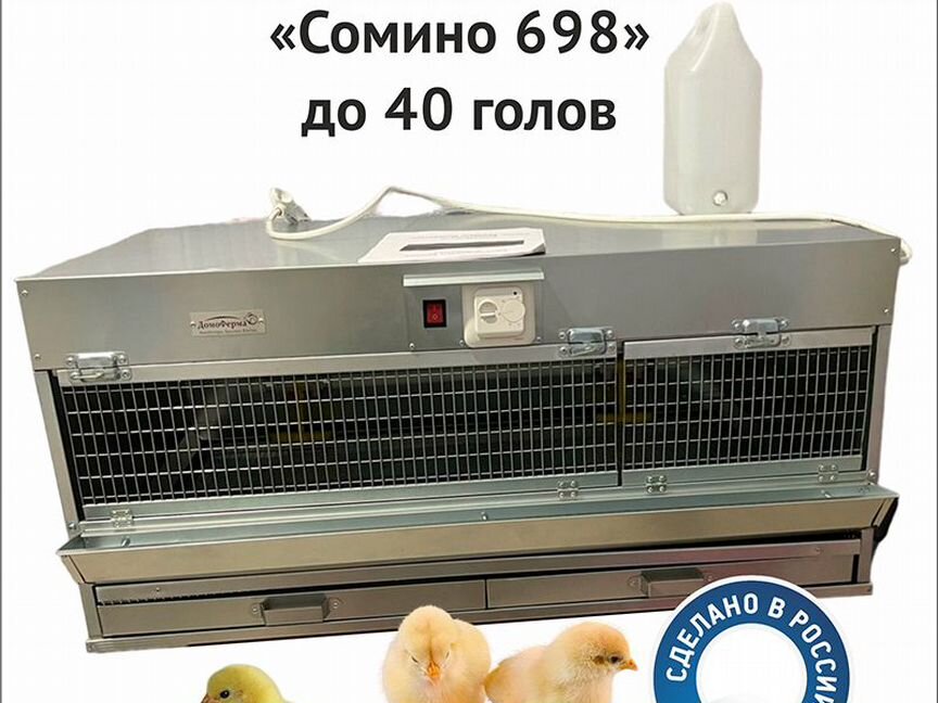 Брудер для цыплят до 40 голов