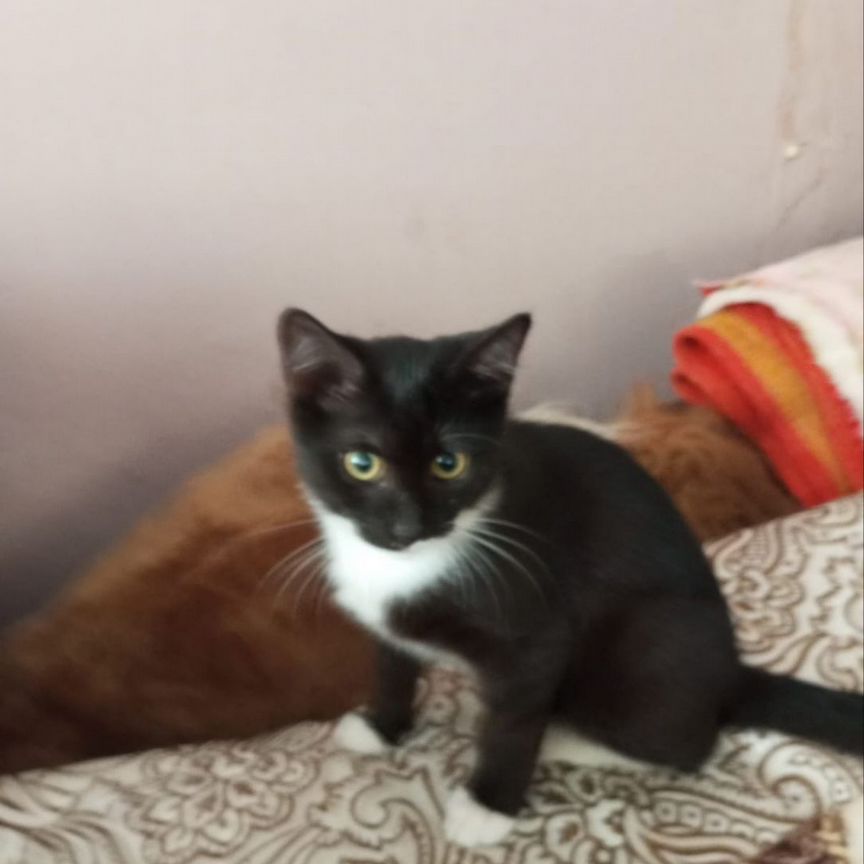 Мальчик 4-5 мес