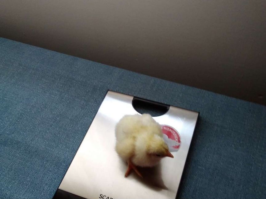 Техника