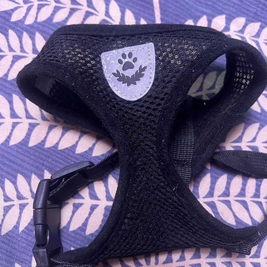 Отдам шлейку