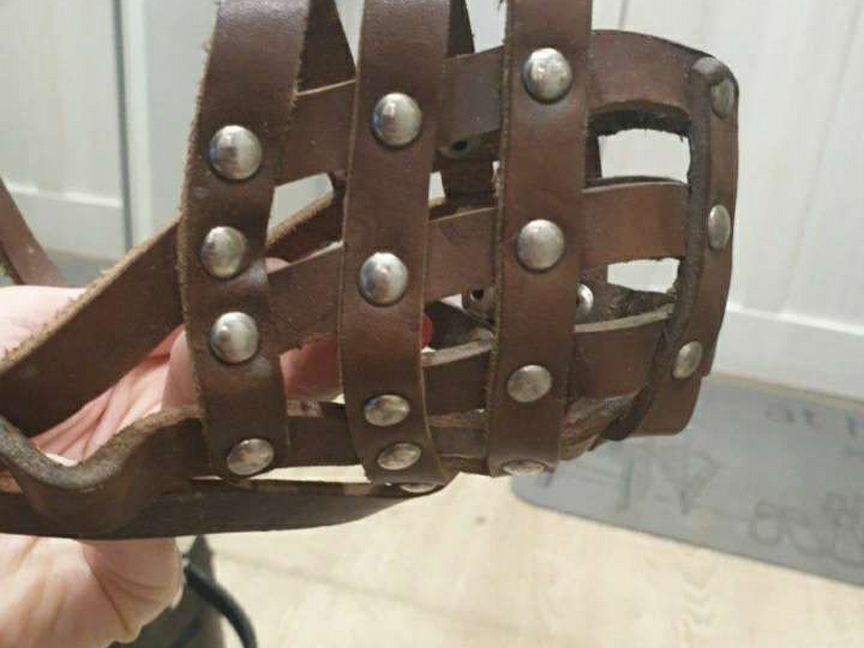 Кожанный поводок, шлейка, брезентовый поводок, нам