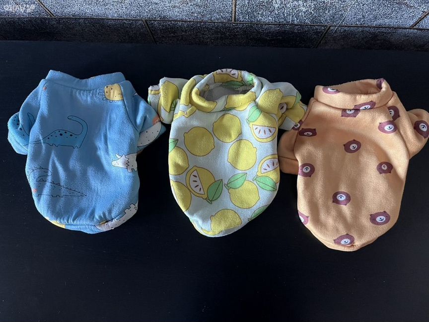 Одежда для кошек