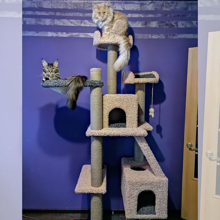 Игровые комплексы и когтеточки для кошек