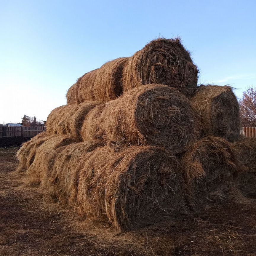 Сено и солома в рулонах 1200* 1400