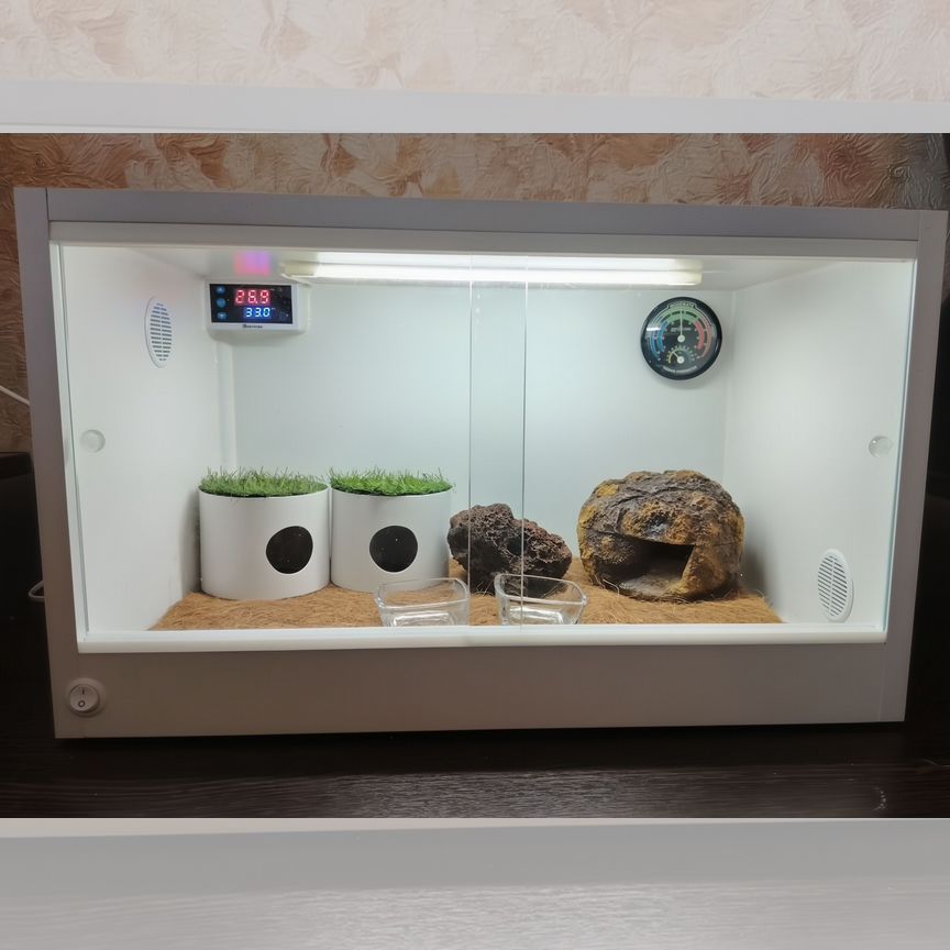 Террариум для эублефара бу