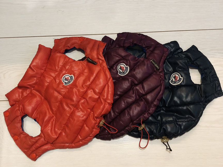 Одежда для маленьких собак