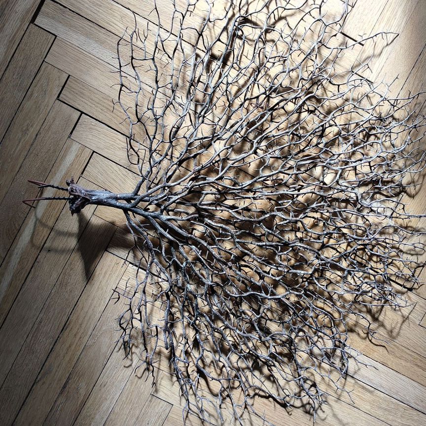 Искусственный коралл