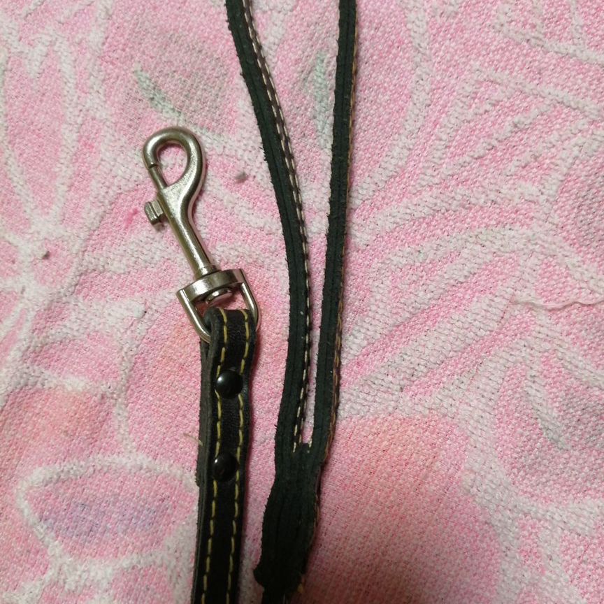 Поводок для собак