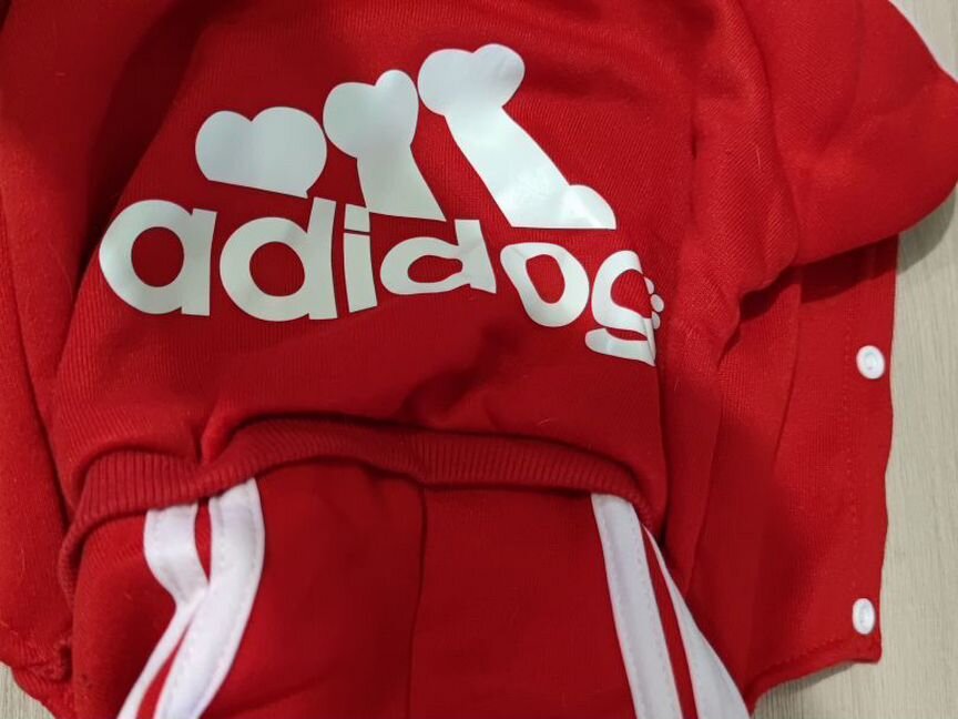 Одежда для собак