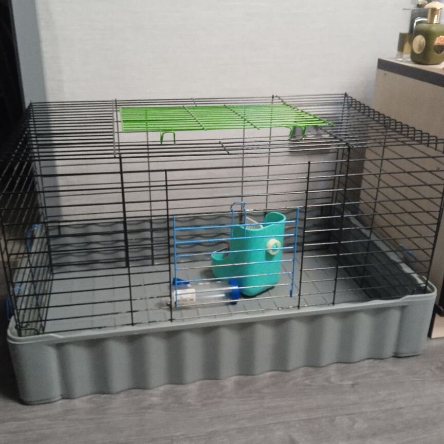Клетка