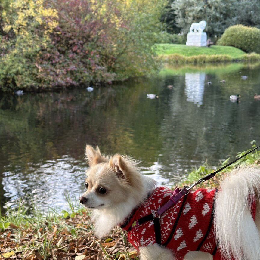 Модель для фотосессии