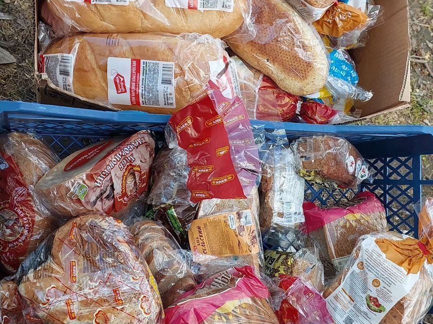 Хлеб и сухари из чистого хлеба на корм животным