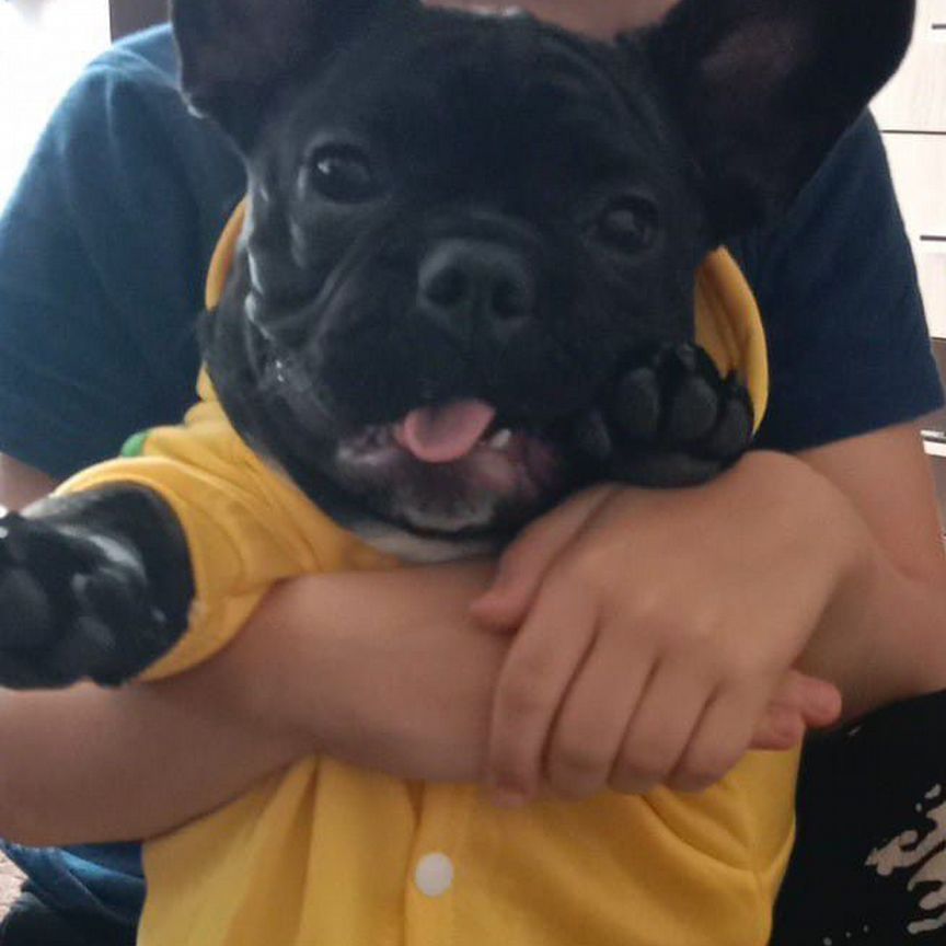 Готовы к резерву Сладкие Булички