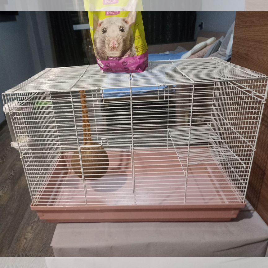 Клетка для грызунов,корм и наполнитель кукурузный