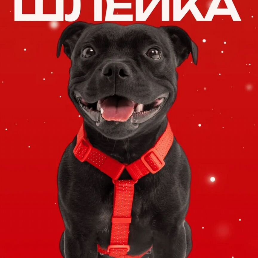 Шлейка для собаки pro comfort красная XS