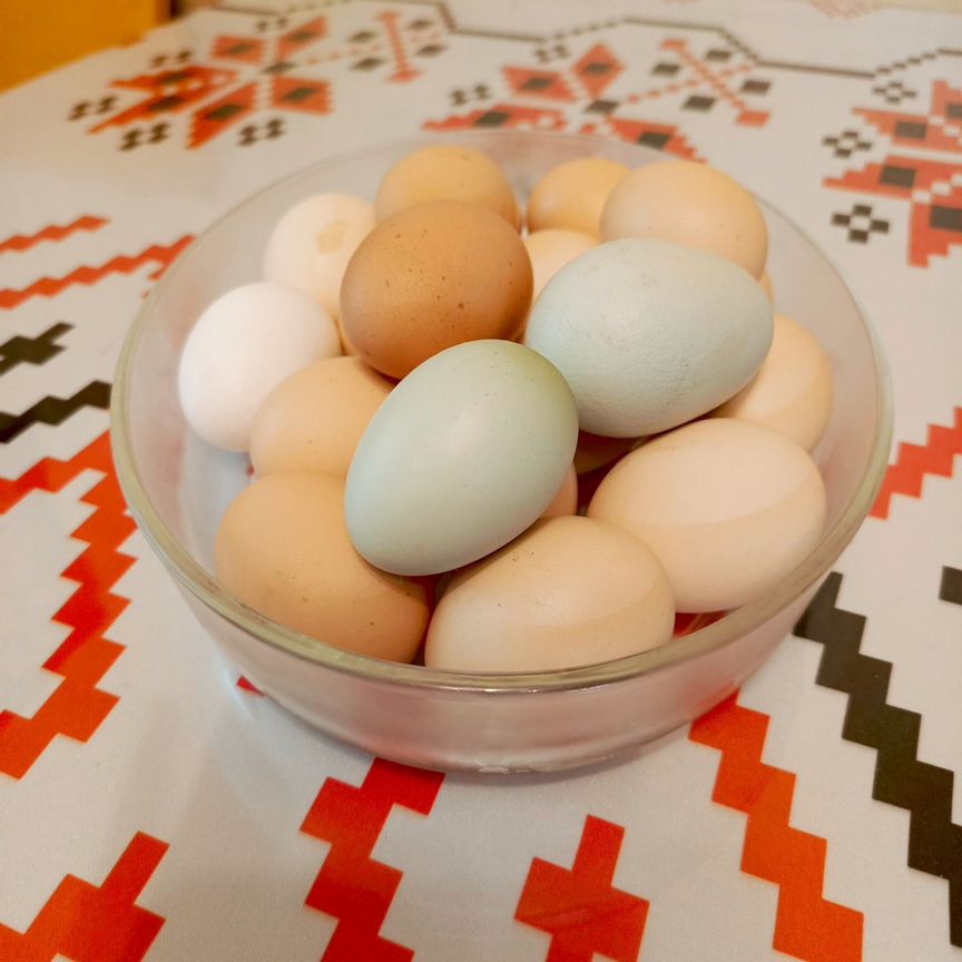 Домашние куриные яйца