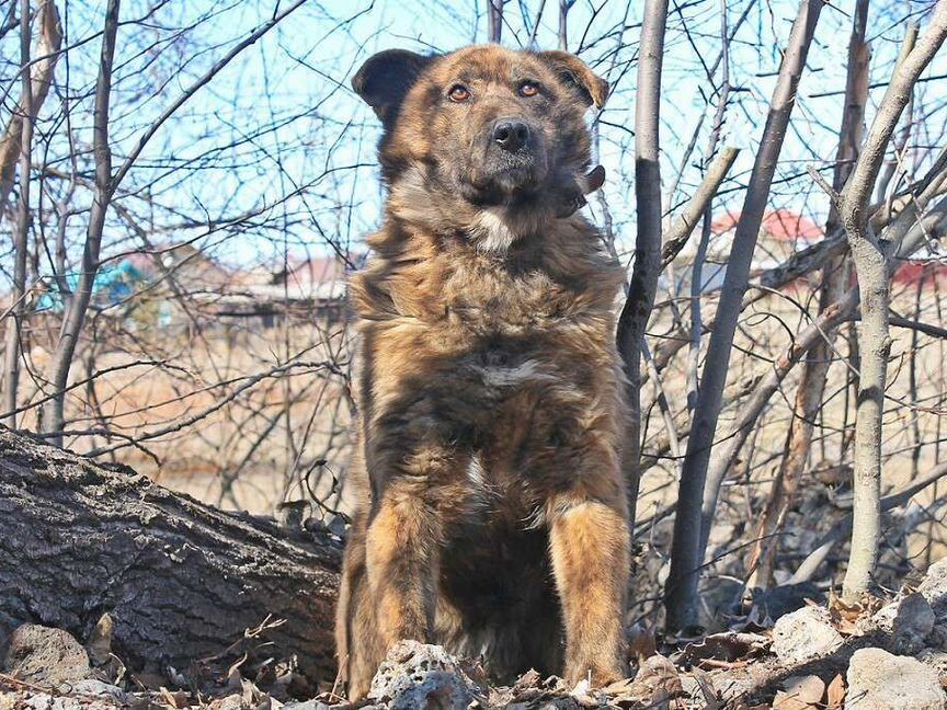 Красотка Мотильда