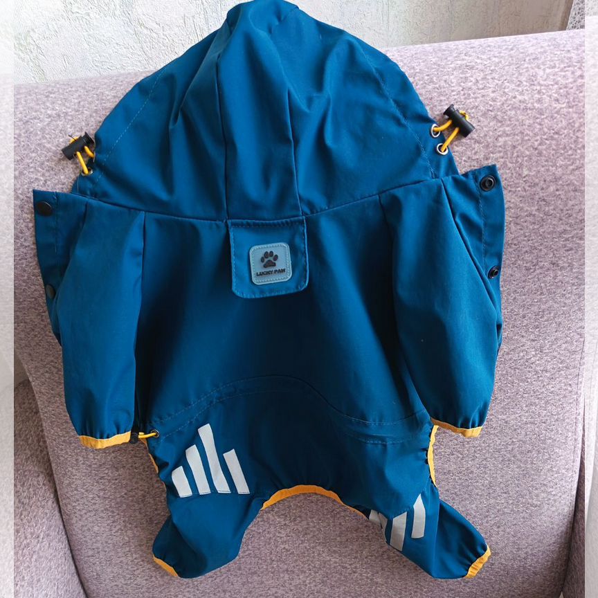 Одежда для маленьких собак