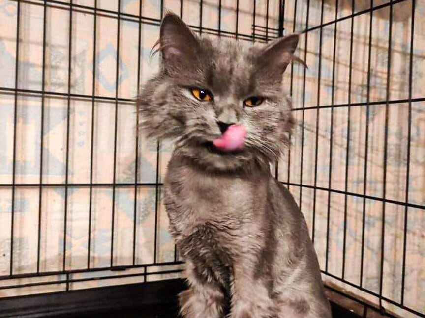 Меня бросили