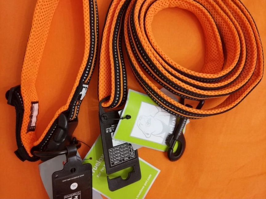 Поводок ошейник Truelove