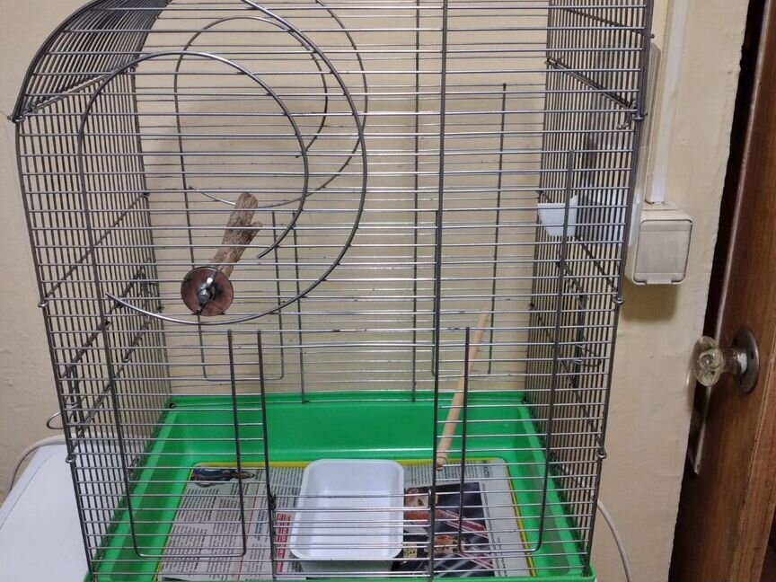 Клетка для птиц