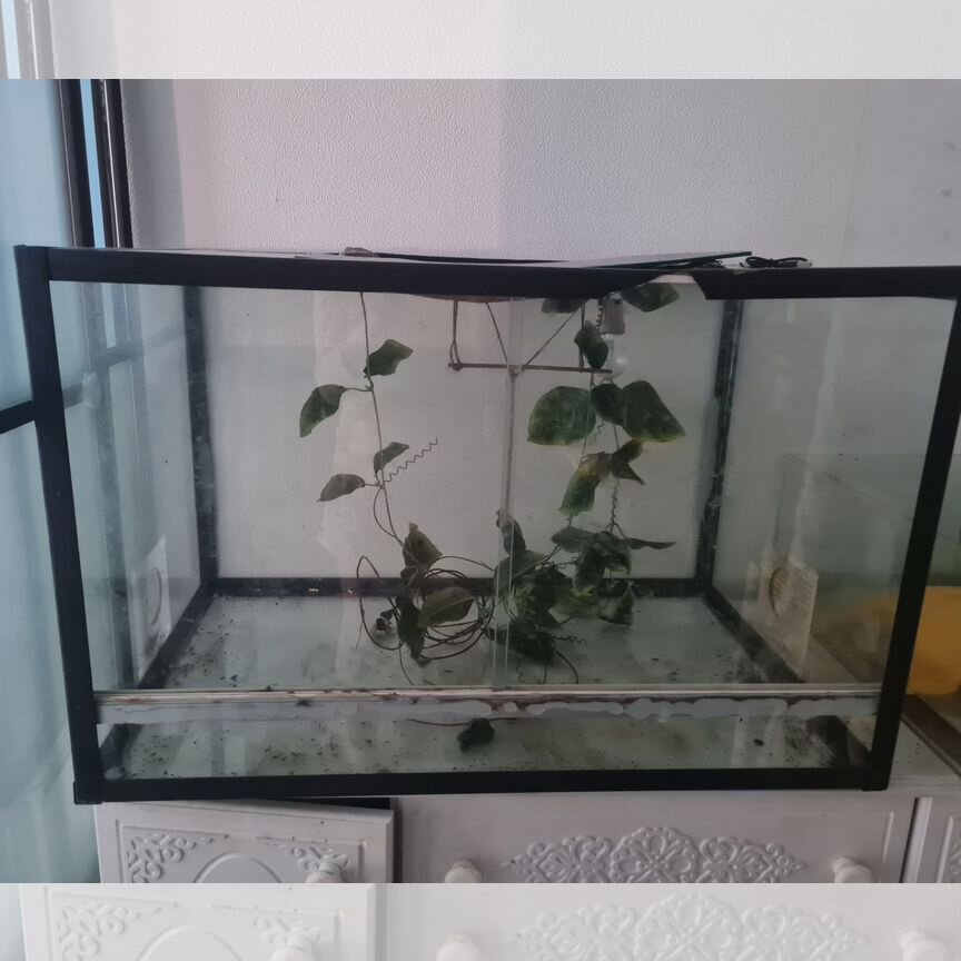 Террариум большой