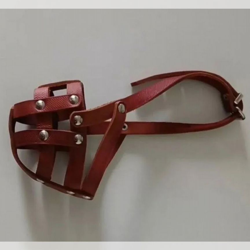 Намордник, комбинезон для собак