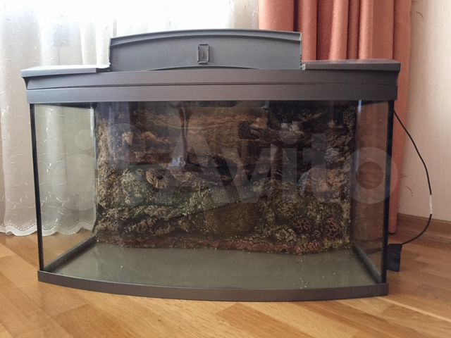 Аквариум 100 литров