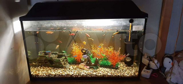 Аквариум с рыбками