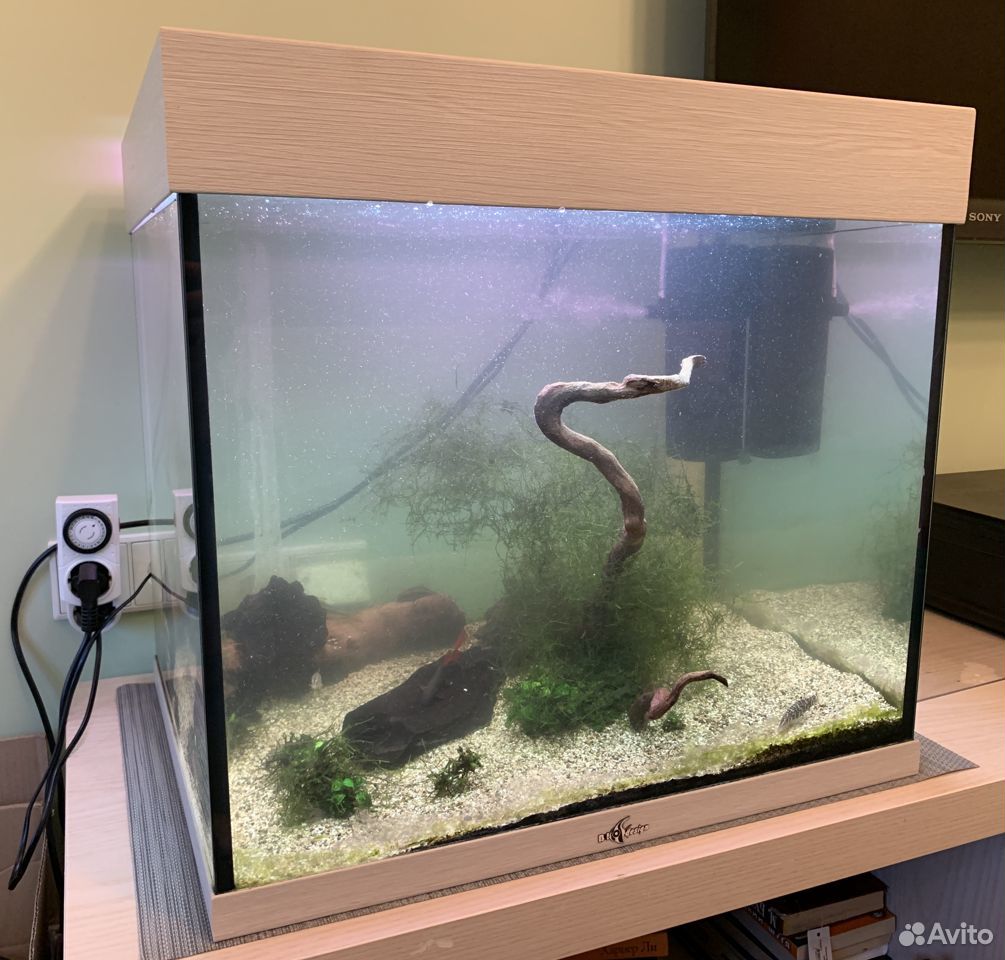 Аквариум Biodesign риф 100